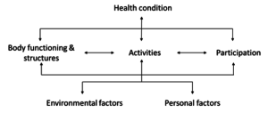 Active Healthy Aging in the Context of the ICF-Model
